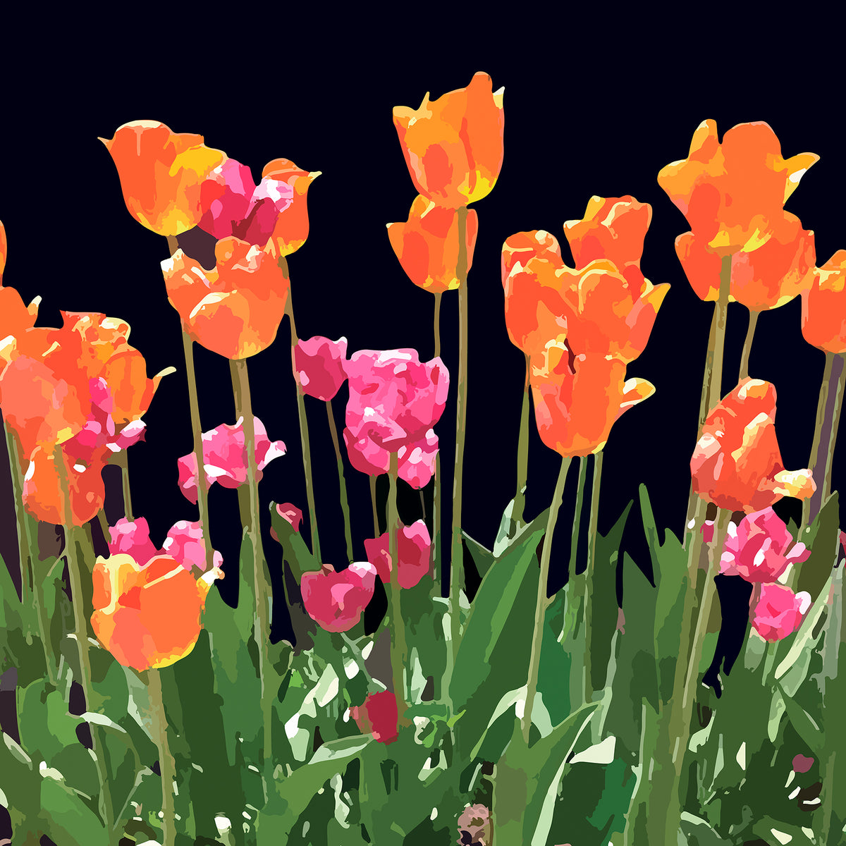 Early Blooms – Abacus Gallery