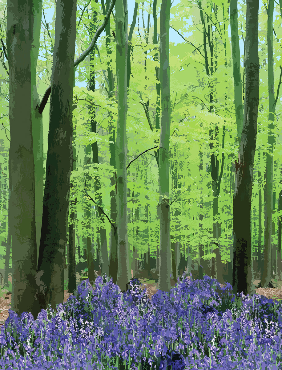 Forest – Abacus Gallery