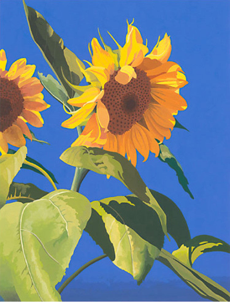 Sunflowers – Abacus Gallery